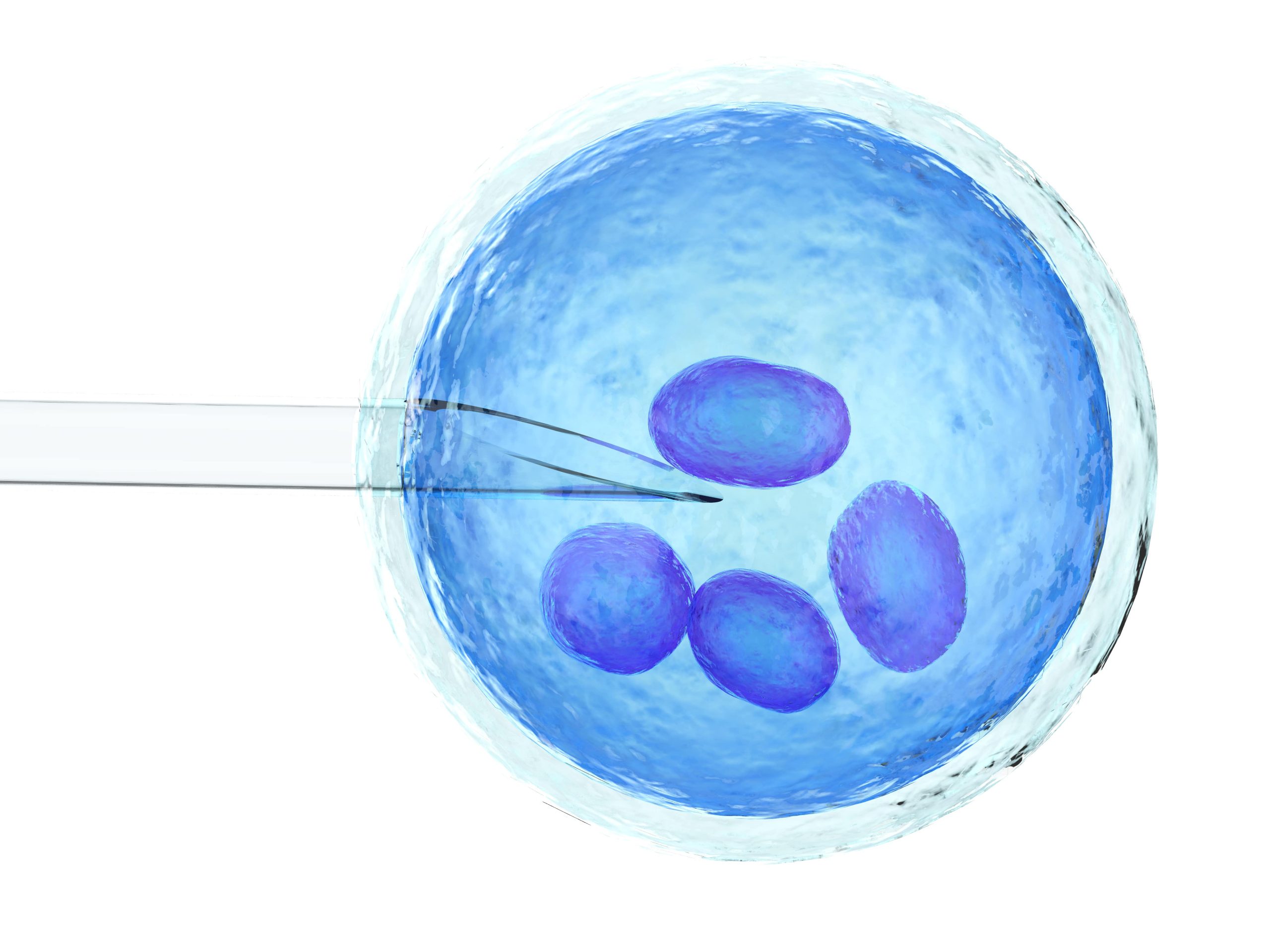 CONVENTIONAL (TRADITIONAL) IVF - Rejuvenating Fertility Center